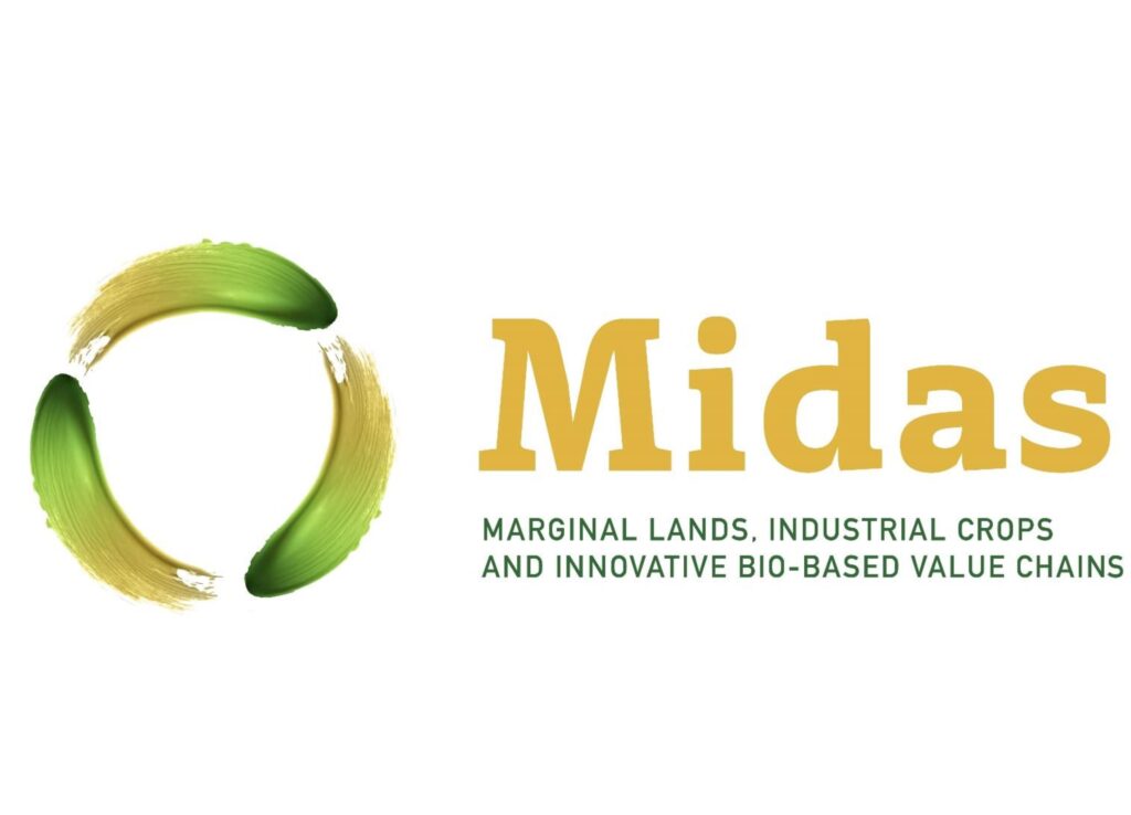 MIDAS – CzecHemp.cz – Český KONOPNÝ klastr